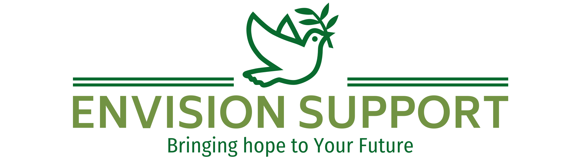 Homepage - Envision Support